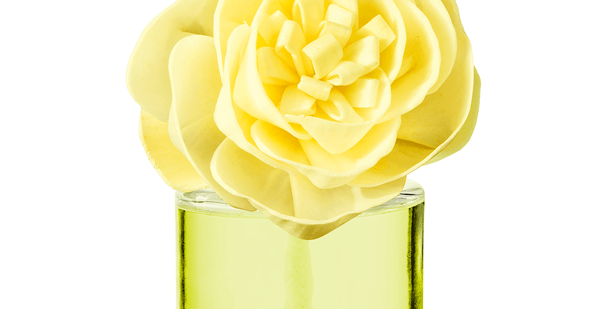 Lemon Lime Fizz – Buttercup Belle Fragrance Flower - The Candle ...
