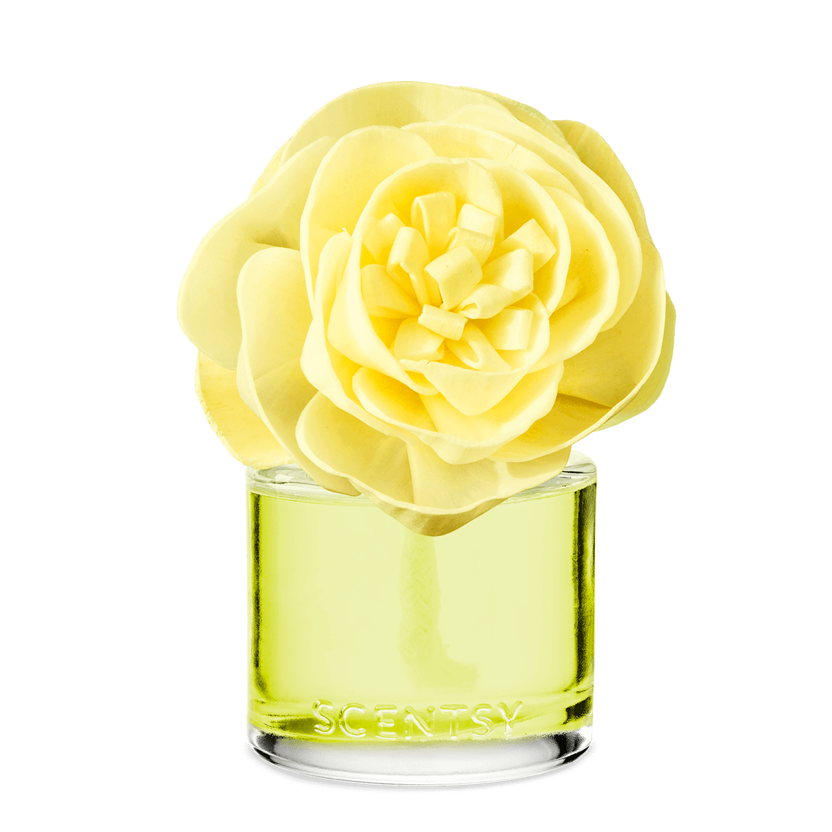Lemon Lime Fizz – Buttercup Belle Fragrance Flower - The Candle ...
