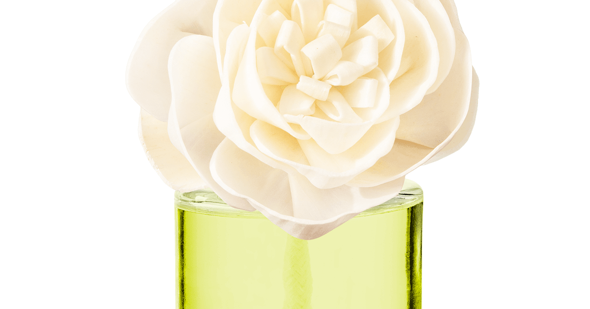 Lemon Lime Fizz – Buttercup Belle Fragrance Flower - The Candle ...