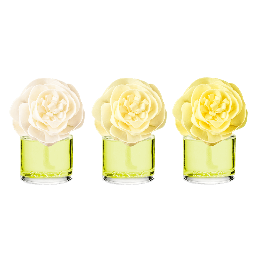 Lemon Lime Fizz – Buttercup Belle Fragrance Flower - The Candle ...