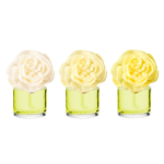 Lemon Lime Fizz – Buttercup Belle Fragrance Flower - The Candle ...