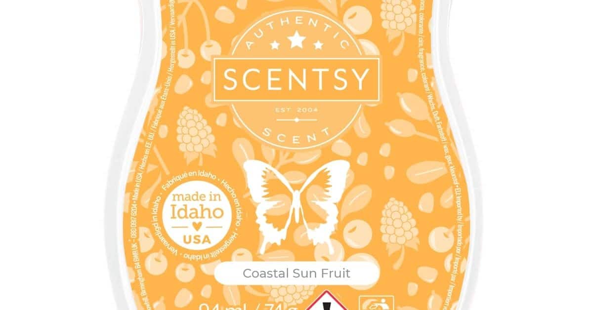 Coastal Sun Fruit Scentsy Bar - The Candle Boutique - Scentsy UK Consultant