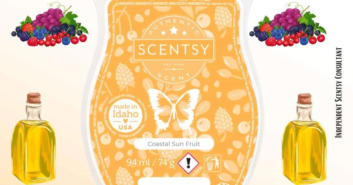 Coastal Sun Fruit Scentsy Bar - The Candle Boutique - Scentsy UK Consultant