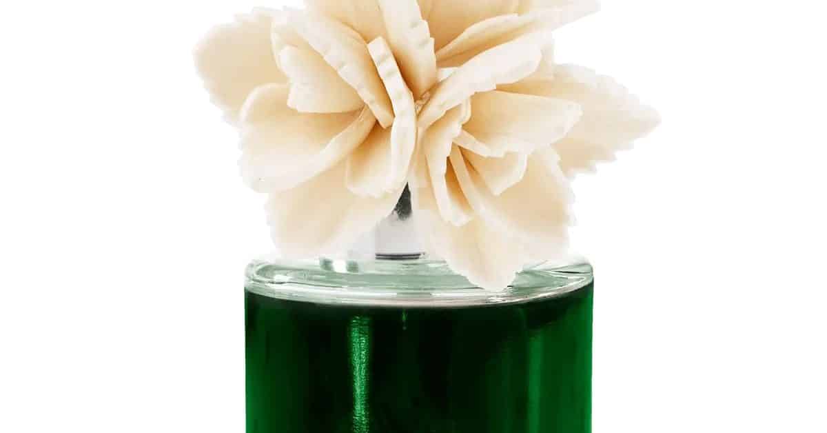 Mint Fields – Garden Bouquet Fragrance Flower - The Candle Boutique - Scentsy UK Consultant
