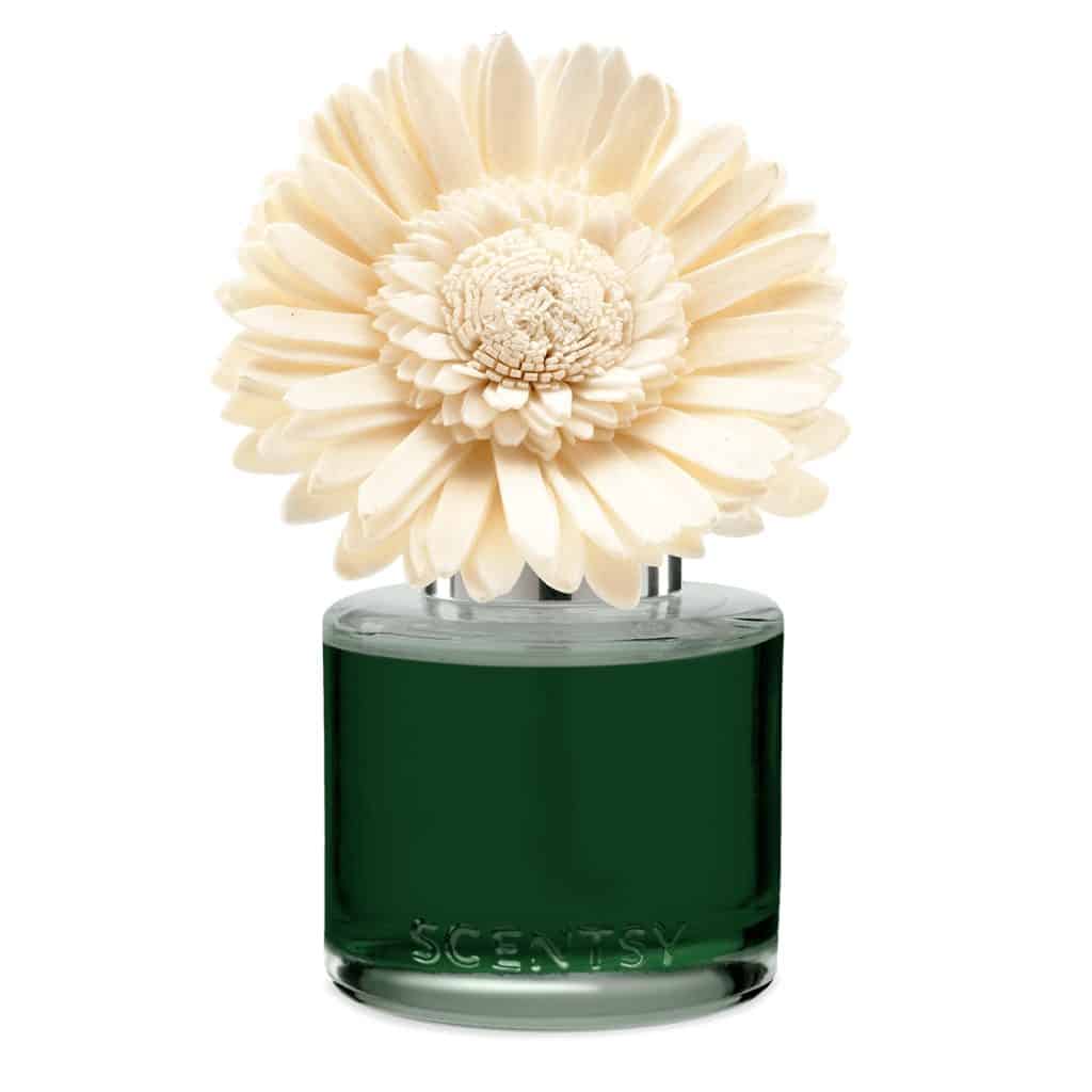 Key Lime & Grapefruit Dainty Daisy Fragrance Flower - The Candle ...