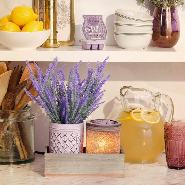 Scentsy Scent of the Month & Warmer of the Quarter - The Candle ...