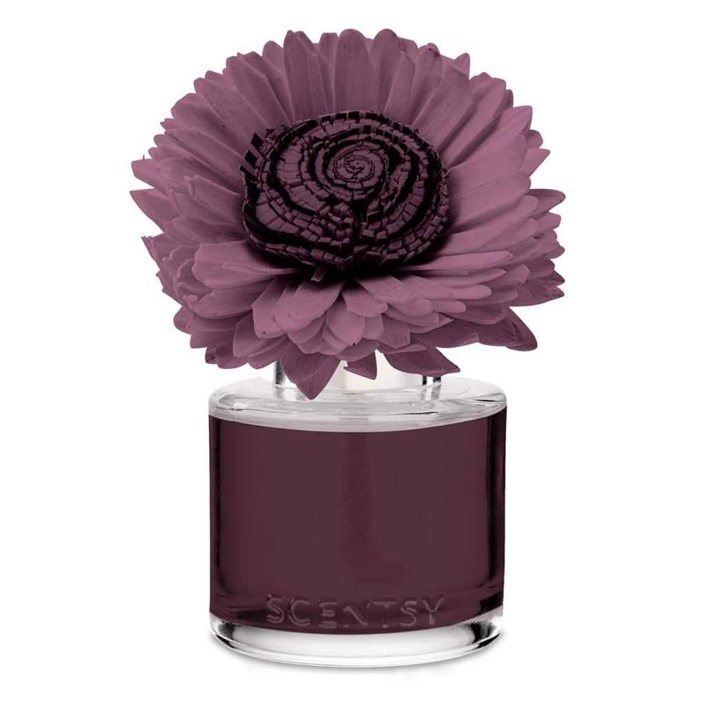 Scentsy Fragrance Flower Frequently Asked Questions - The Candle ...