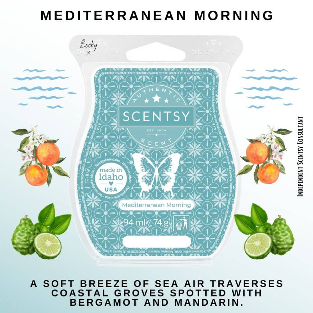 Mandarin & Mango Nectar Scentsy Pods - The Candle Boutique - Scentsy UK ...