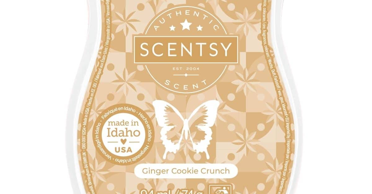 Ginger Cookie Crunch Scentsy Bar - The Candle Boutique - Scentsy UK ...