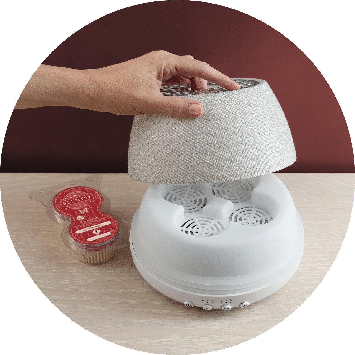 Scentsy Go System Frequently Asked Questions - The Candle Boutique ...