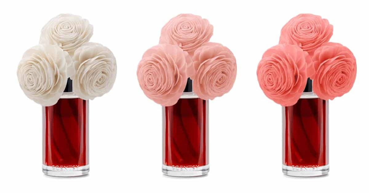 Apricot Cloud – Prim Posy Fragrance Flower Bouquet | Valentine's Day ...