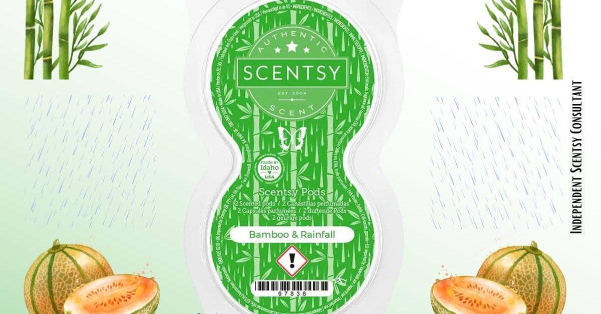 Bamboo & Rainfall Scentsy Pods - Twin Pack - The Candle Boutique ...