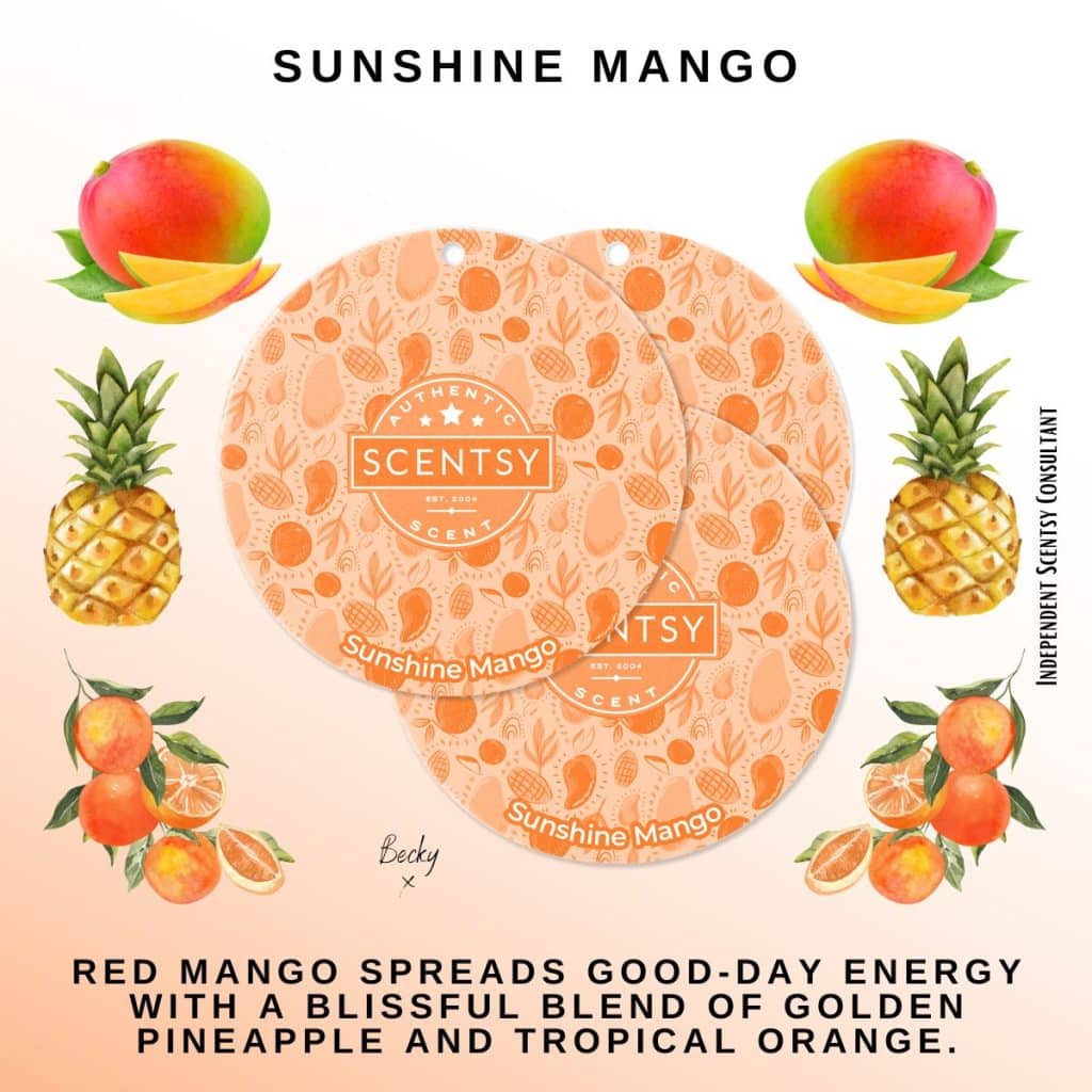 Sunshine Mango Scent Circle 3-pack - The Candle Boutique - Scentsy UK ...