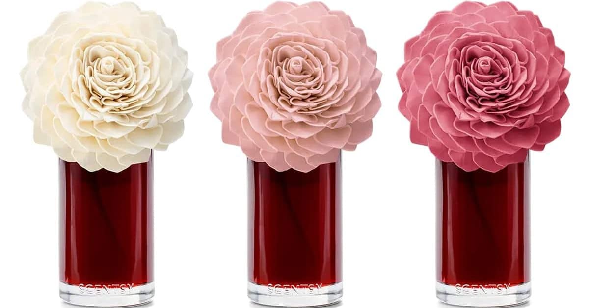 Vanilla Rose — Large Dahlia Darling Fragrance Flower - The Candle ...