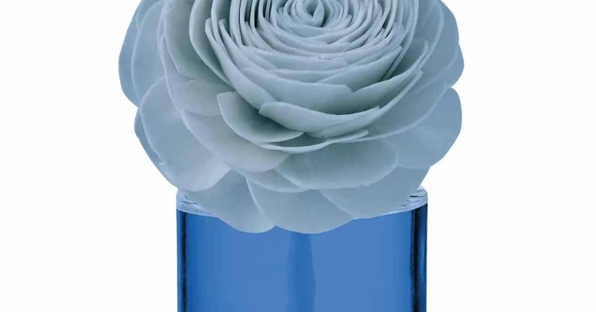 Coastal Rain Cove – Prim Posy Fragrance Flower - The Candle Boutique ...