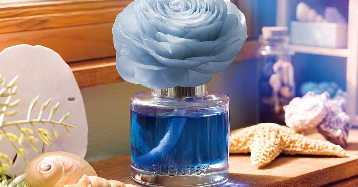 Coastal Rain Cove – Prim Posy Fragrance Flower - The Candle Boutique ...