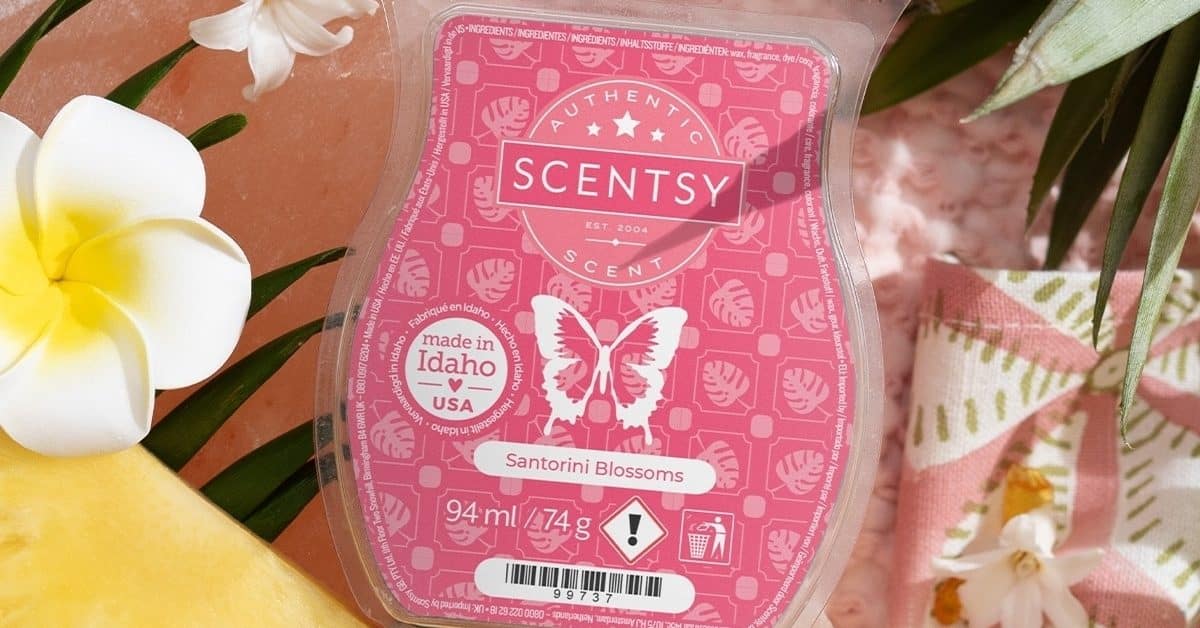 Santorini Blossoms Scensty Bar - The Candle Boutique - Scentsy UK ...