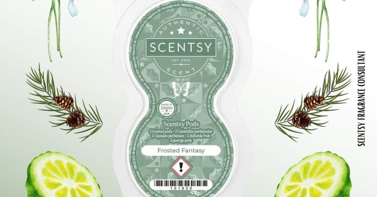 Frosted Fantasy Scentsy Pods - Twin Pack - The Candle Boutique ...